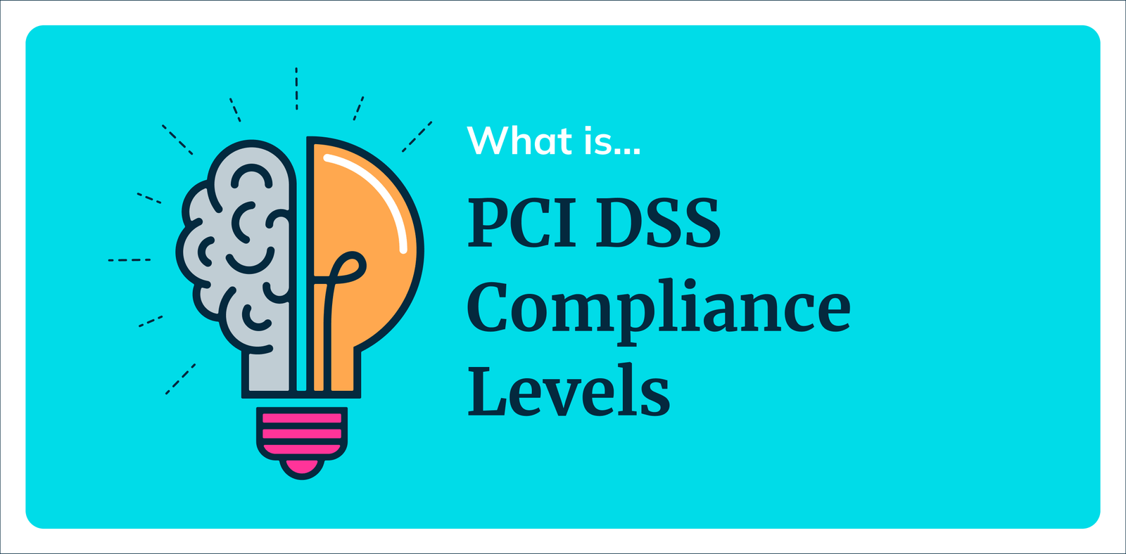 PCI DSS Compliance Levels for Merchants and Service Providers